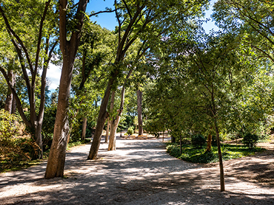 Top Sehenswürdigkeiten in und um Zadar - von Kroati.de √