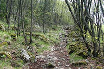 Wandern im Naturpark Ucka | Alle Wanderrouten und Lehrpfade √