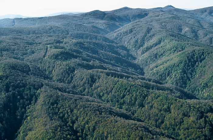Naturpark Papuk | Kroatien Reiseführer √