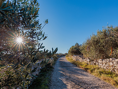 Mirca - Kroatien Reiseführer - Kroati.de √